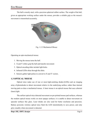 evomouse full report | DOCX