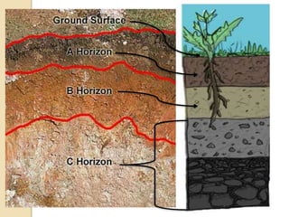Soils | PPT
