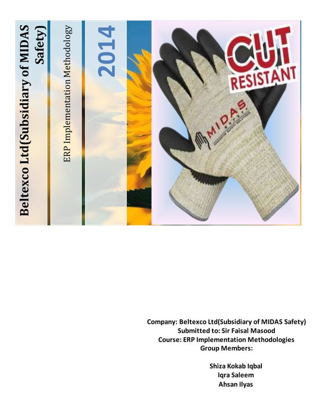SAP-ERP implementation Report 2014 | PDF