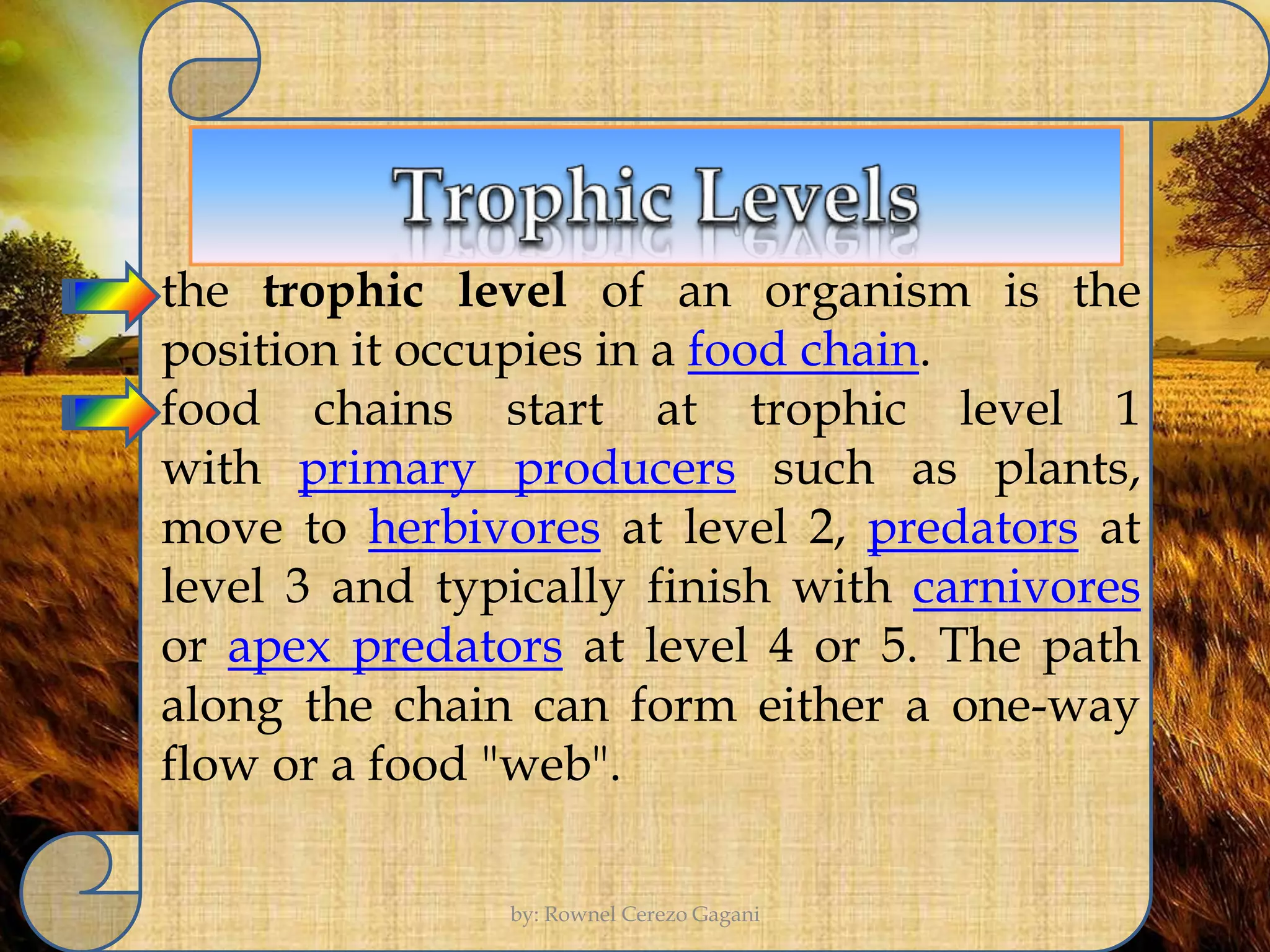 Trophic Levels, Bioenergetics, Chemical Energy and ATP | PPTX