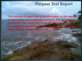 Report Text - Enjoy | PDF