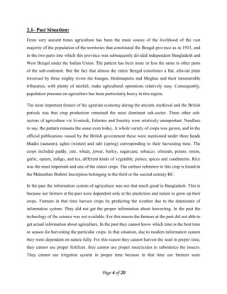 CST Report | PDF | Agriculture | Industries