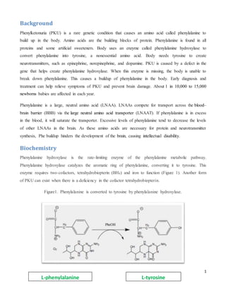 phenylketonuria | DOCX