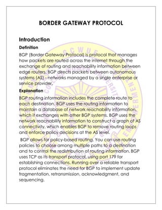 BORDER GATEWAY PROTOCOL | PDF | Computer Networking | Computing