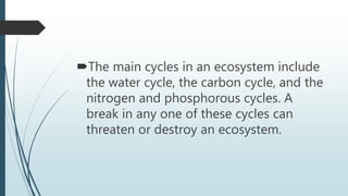 Environmental Science - Biogeochemical Cycle | PPTX