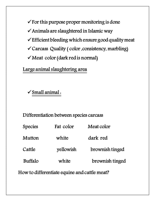Report on visit to a slaughter house | DOCX | Pets