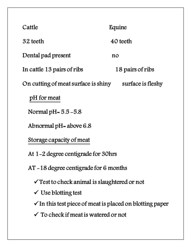 Report on visit to a slaughter house | DOCX | Pets