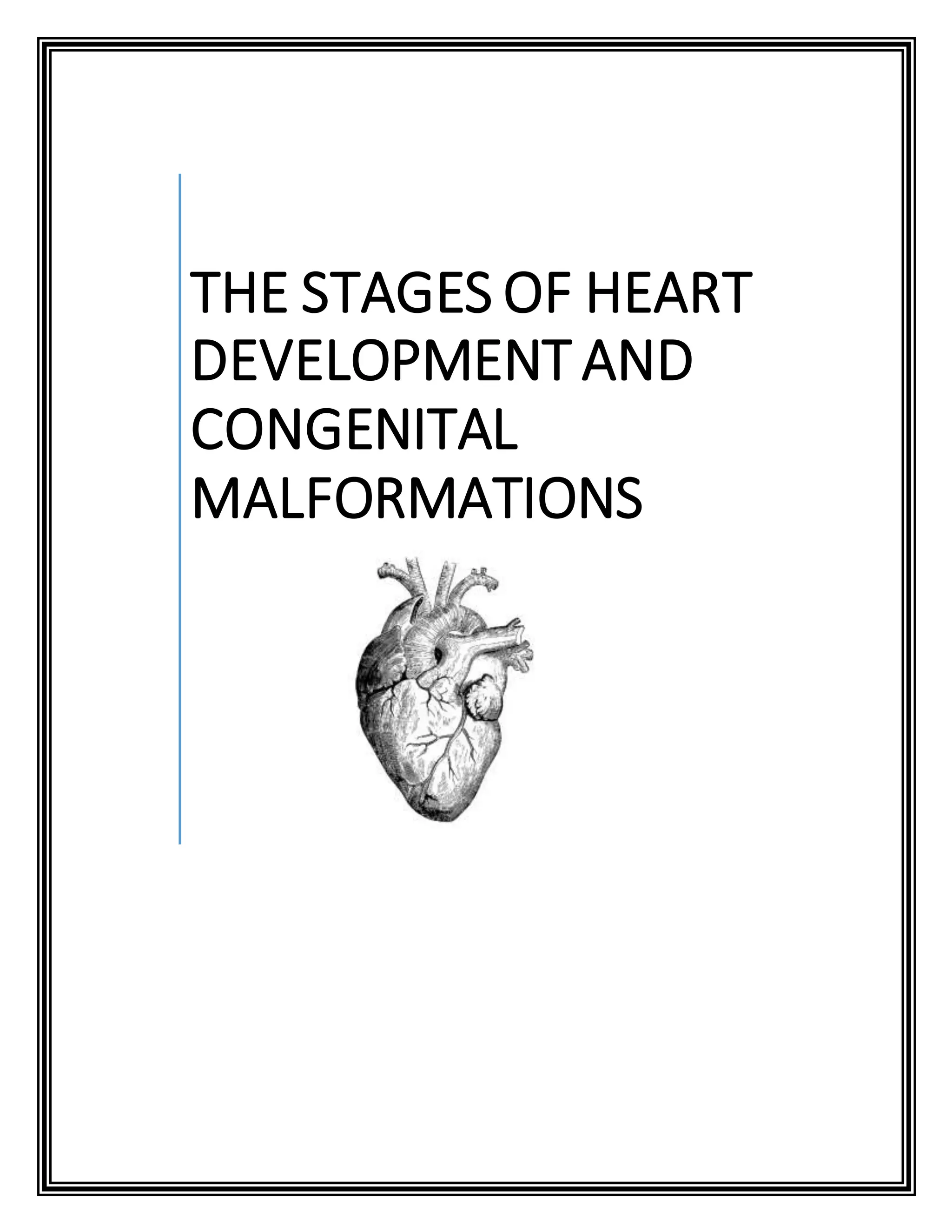 Heart development and malformations | DOCX