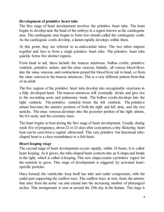 Heart development and malformations | DOCX