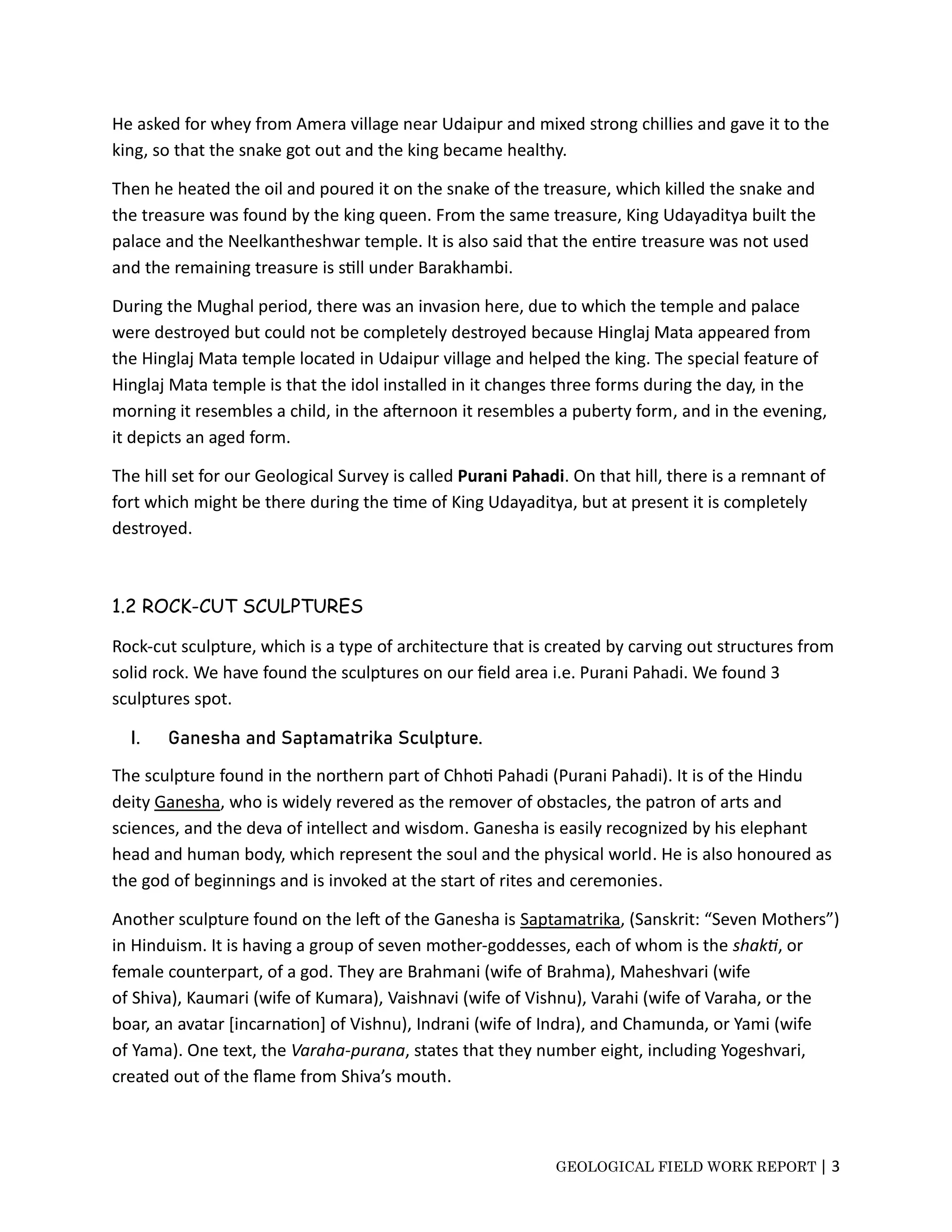 Geological Field Work Report.pdf