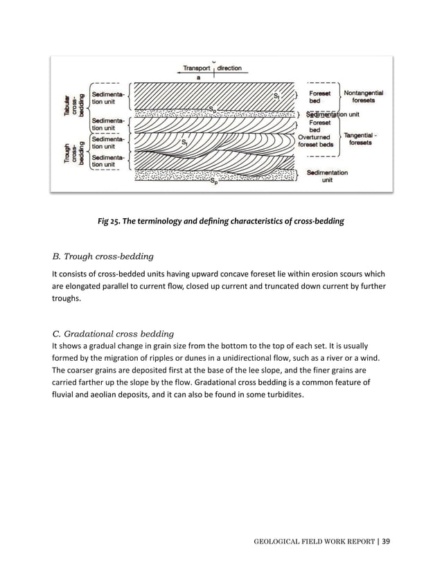 Geological Field Work Report.pdf | Geology | Science