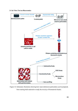 BIOCERAMICS | PDF