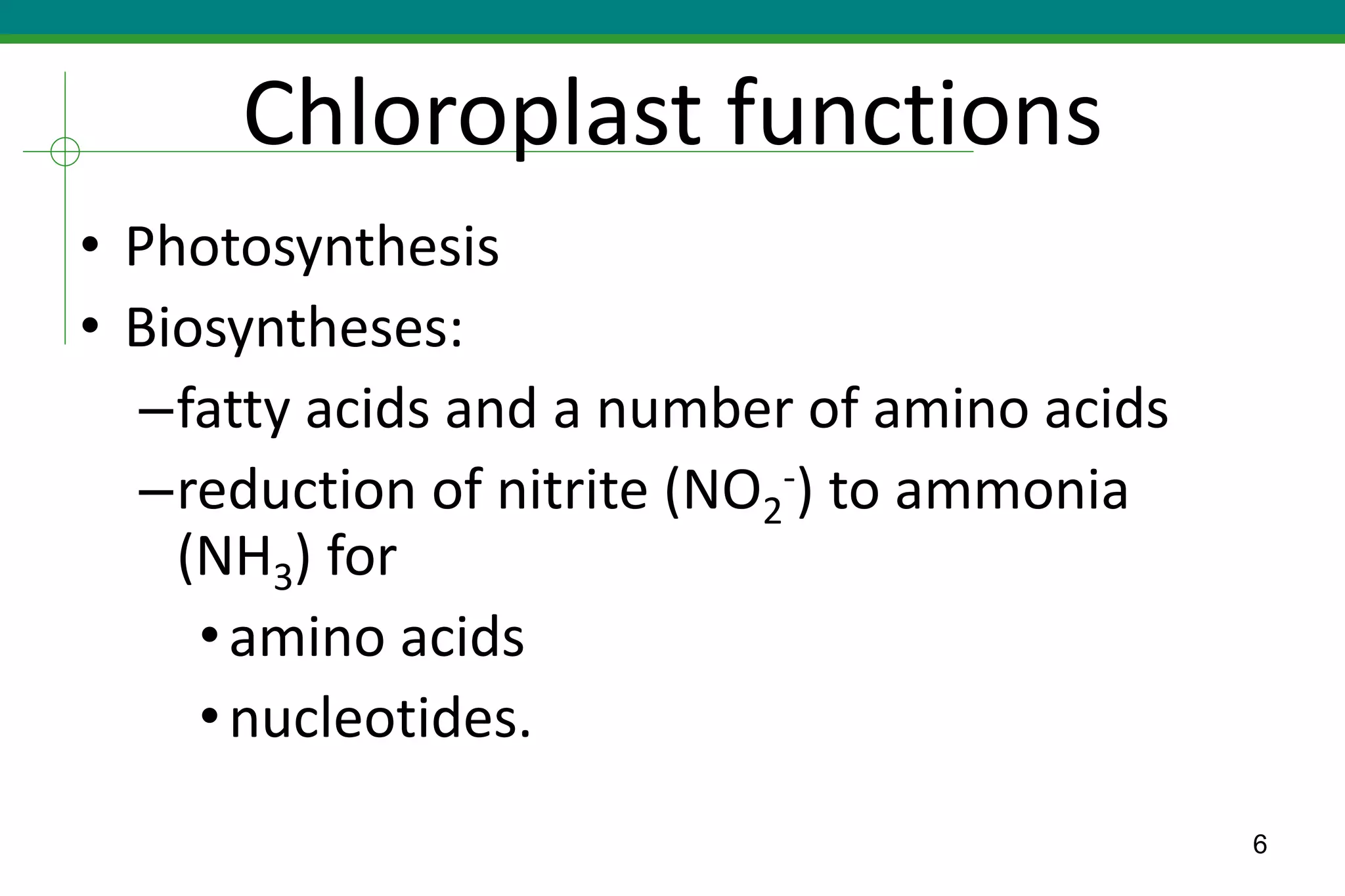 chloroplast | PPTX