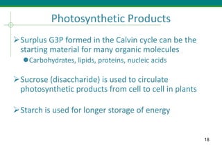 chloroplast | PPTX