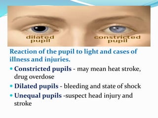 Precautions to prevent diseases transmission | PPT