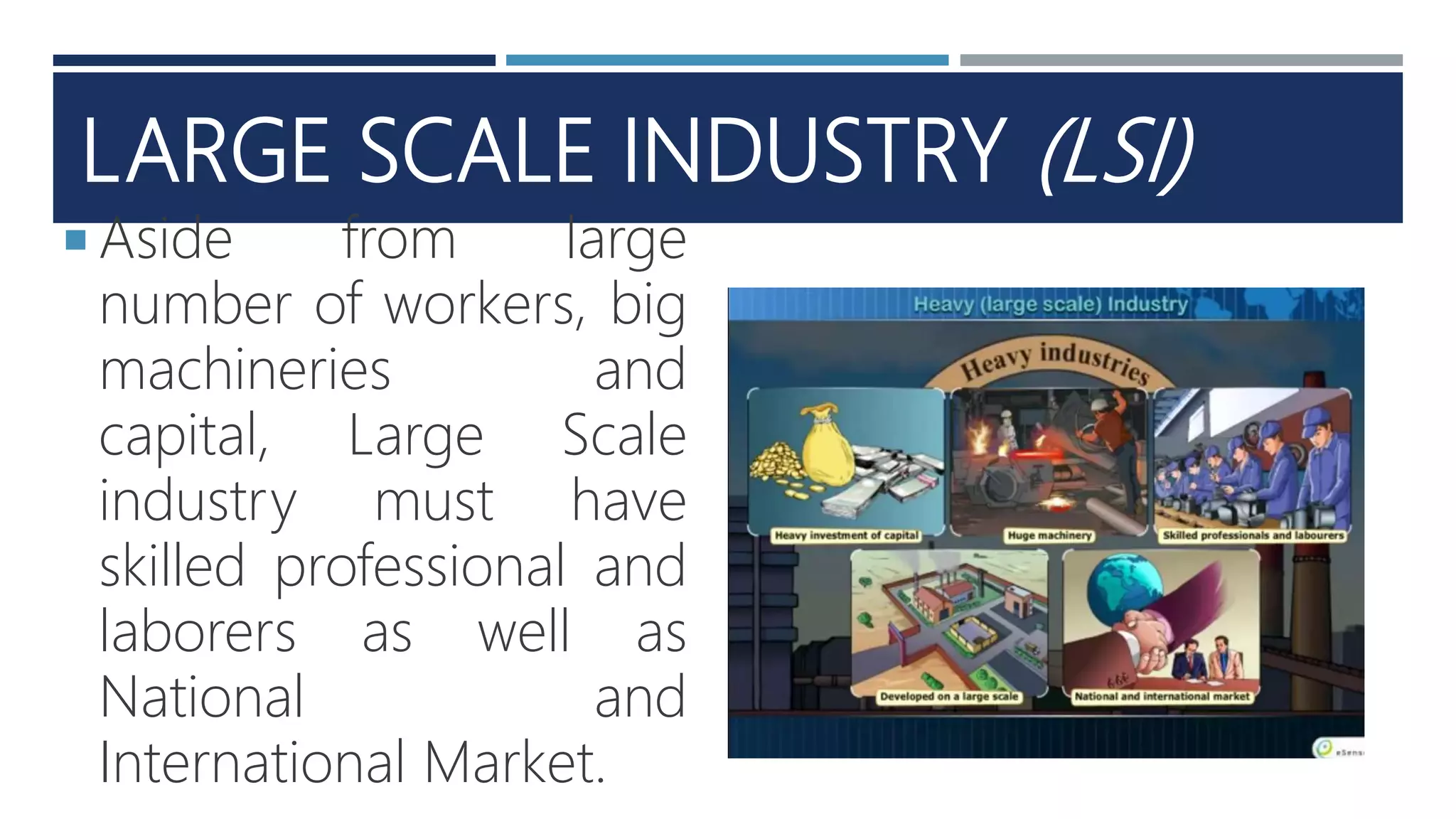 Large Scale Industry and Role of NACIDA in Phil Cottage Industry | PPTX