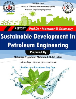 Sustainable Development in petroleum Engineering | PDF