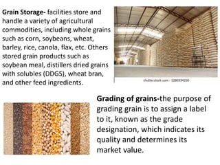 Commodity Marketing in Agricultural Marketing.pptx