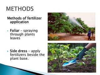 Report-No.8-Fertilizer-Or-Fertilizer-in-Agriculture.pptx