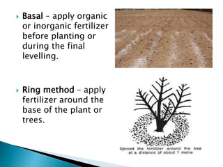 Report-No.8-Fertilizer-Or-Fertilizer-in-Agriculture.pptx