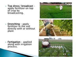 Report-No.8-Fertilizer-Or-Fertilizer-in-Agriculture.pptx