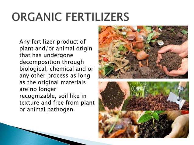 Report-No.8-Fertilizer-Or-Fertilizer-in-Agriculture.pptx