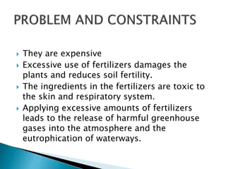 Report-No.8-Fertilizer-Or-Fertilizer-in-Agriculture.pptx