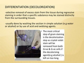 Principles of Staining | PPTX