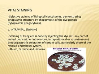 Principles of Staining | PPTX