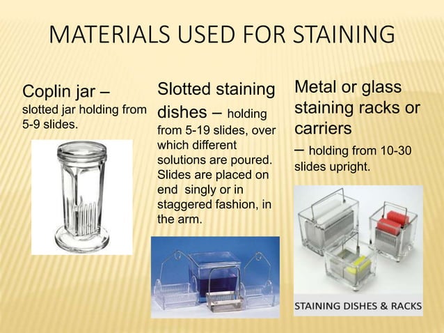 Principles of Staining | PPTX
