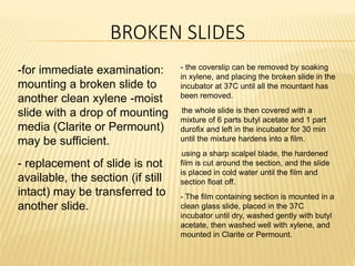 Principles of Staining | PPTX
