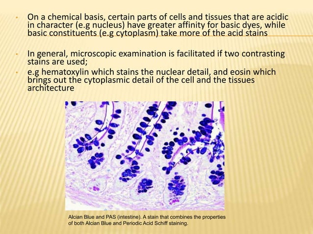 Principles of Staining | PPTX