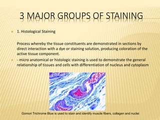 Principles of Staining | PPTX