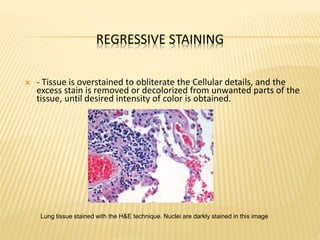 Principles of Staining | PPT