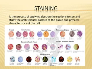Principles of Staining | PPT