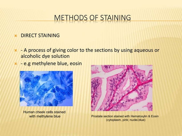 Principles of Staining | PPT