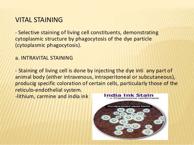 Principles of Staining