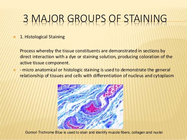 Principles of Staining