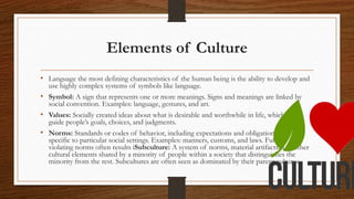 Social Science Report : Module 8 : CULTURE | PPTX