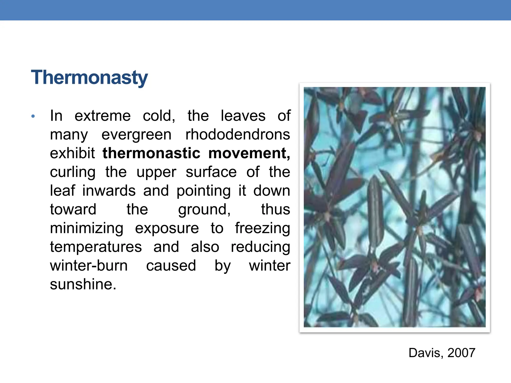 Tolerance Mechanism of Plants to cold stress | PPTX