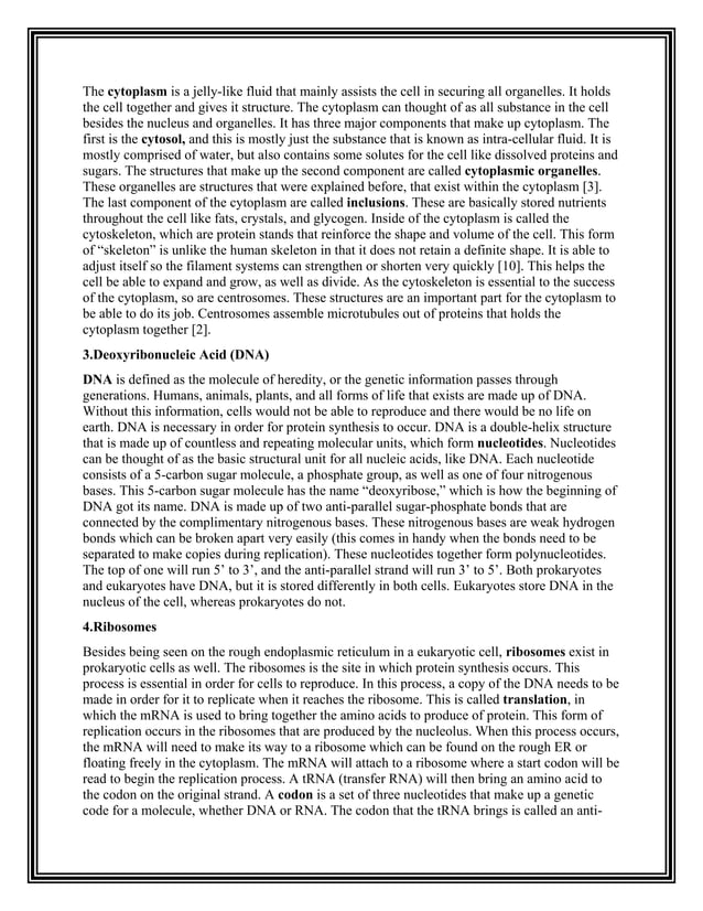 zoology report basic structure prokaryotic and eakaryotic cell | PDF