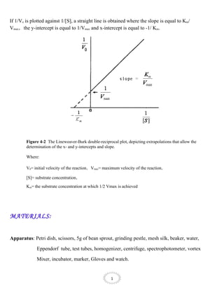 DETERMINE THE Km and vmax OF THE ACIDIC PHOSPHATASE | DOC