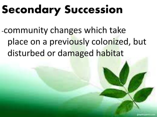 Ecotone and edge effects & ecological succession | PPTX | Geography ...