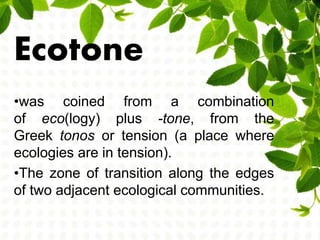 Ecotone and edge effects & ecological succession | PPTX