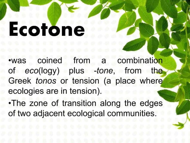 Ecotone and edge effects & ecological succession | PPTX | Geography ...