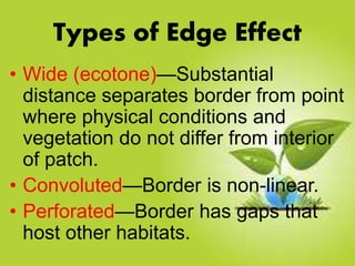 Ecotone and edge effects & ecological succession | PPTX