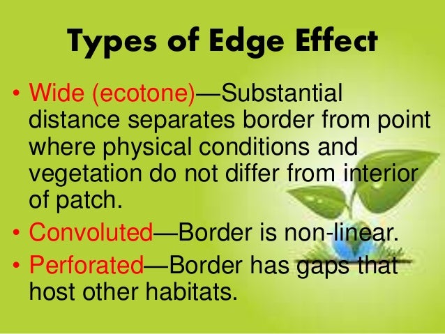 Ecotone and edge effects & ecological succession