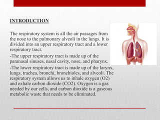 Respiratory System | PPTX