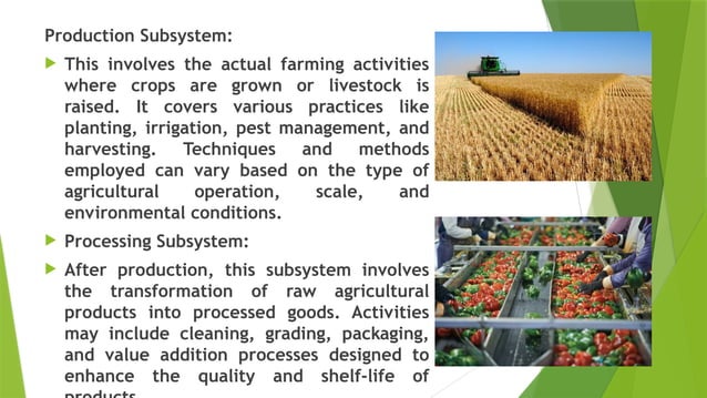 Agricultural Commodity System ( Agribusiness Production) | PPTX