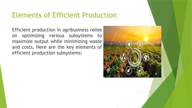 Agricultural Commodity System ( Agribusiness Production) | PPTX
